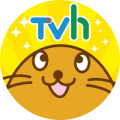 TVh テレビ北海道